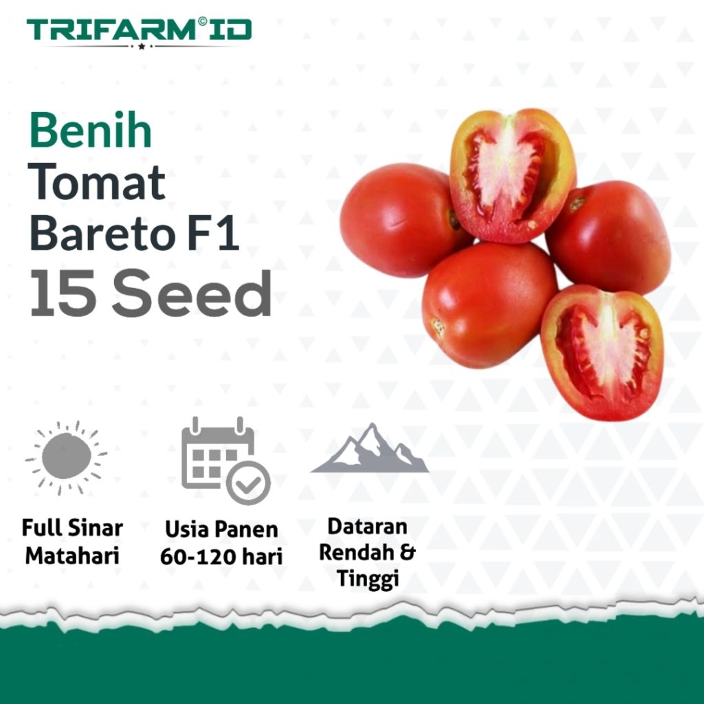 Jual TRIFARM 15 Biji Bibit Benih Tomat Bareto F1 Kemasan Ziplock ...