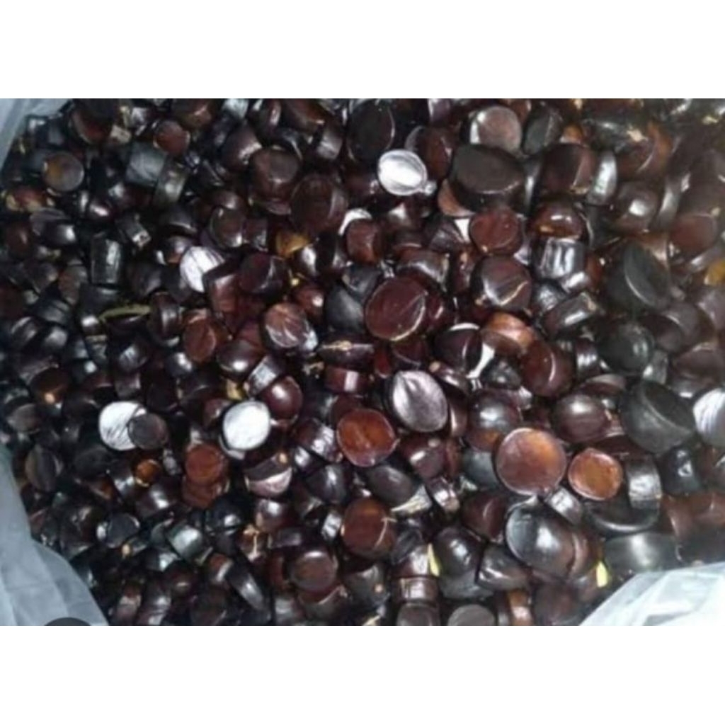Jual kabau/jolang jaling khas Sumatra | Shopee Indonesia