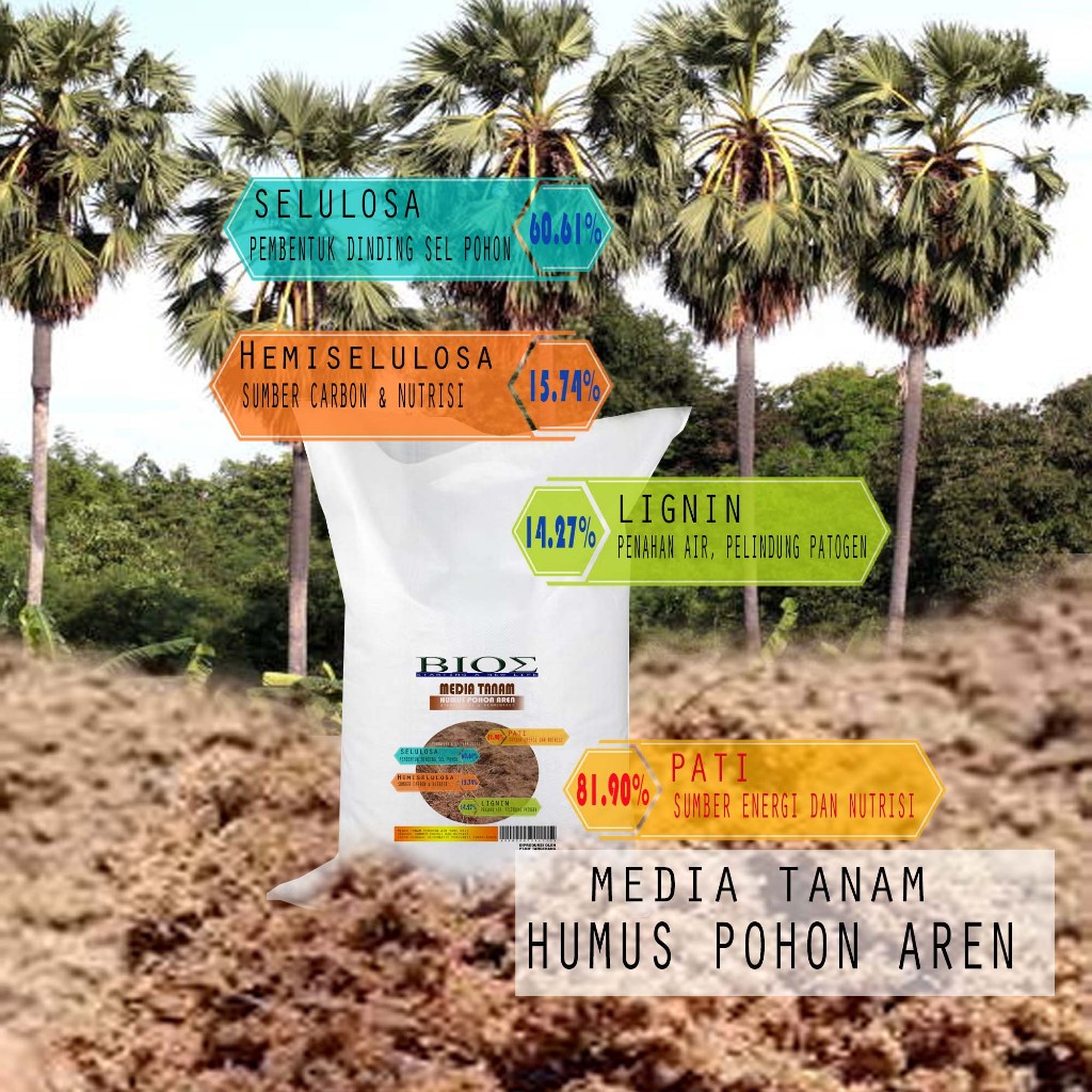 Jual Ampas pohon aren media tanam jamur merang steril dan ferementasi ...