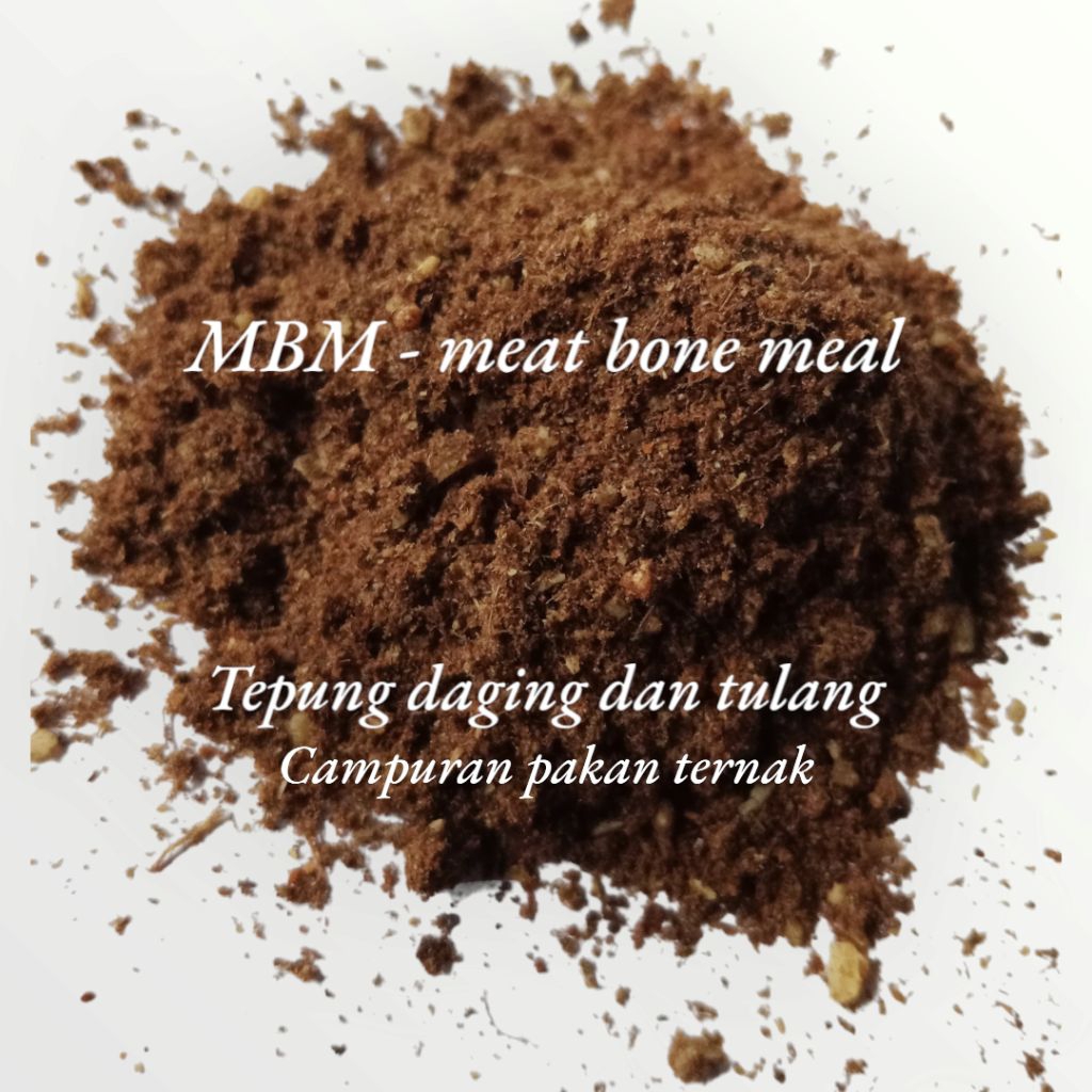 Jual 1 KG MBM (Meat bone meal) tepung daging & tulang campuran pakan ...