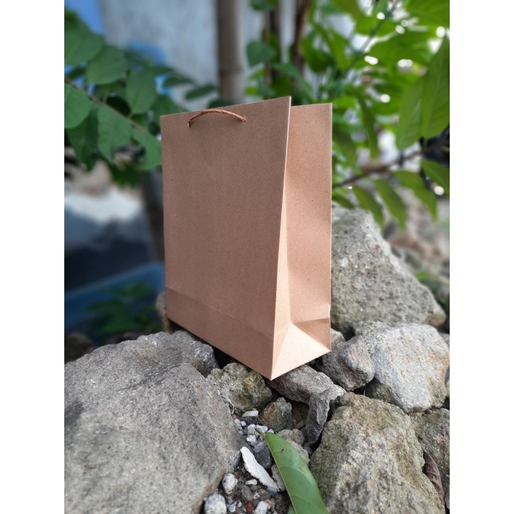 Jual paper bag polos 1 lusin coklat 20x8x25 tas kertas polos paperbag ...