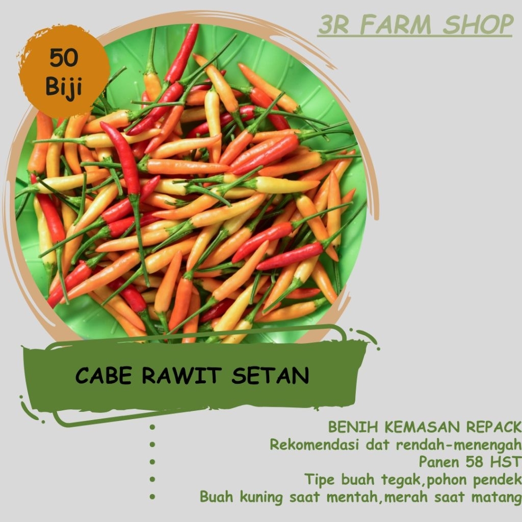 Jual Benih Repack Cabe Rawit Setan DEWATA Isi 50 biji | Shopee Indonesia