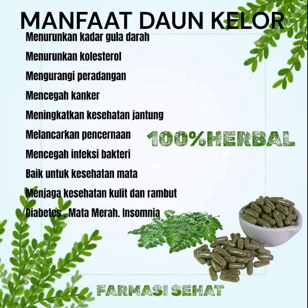 Jual kapsul daun kelor 100% herbal alami baik buat kesehatan Anda isi ...