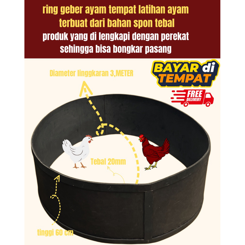 Jual geber ayam murah ukuran 2x2 tidak tembus (BERANTEM/ADU AYAM )UNIK ...