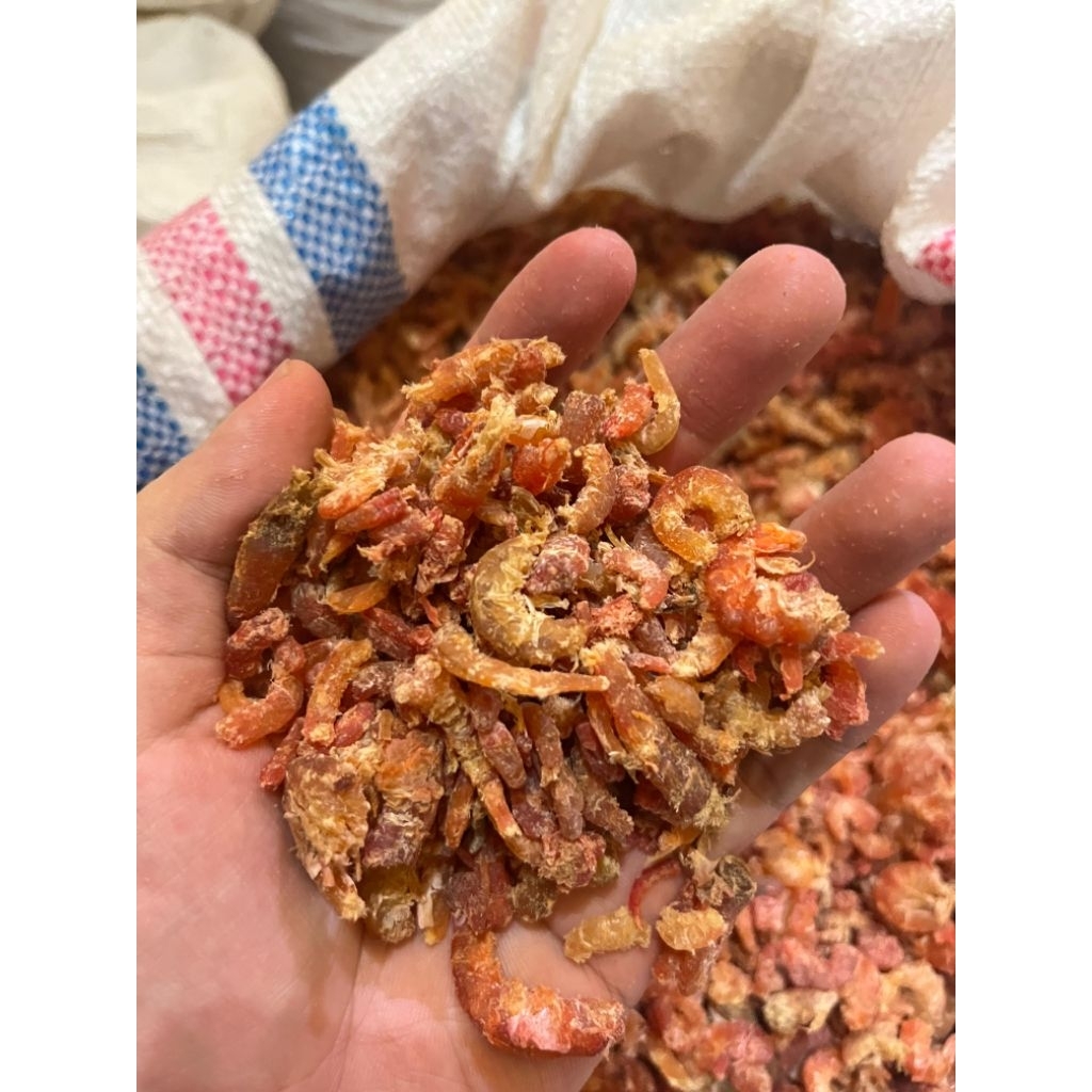 Jual Udang kering ebi merah Tarakan 1 kg | Shopee Indonesia