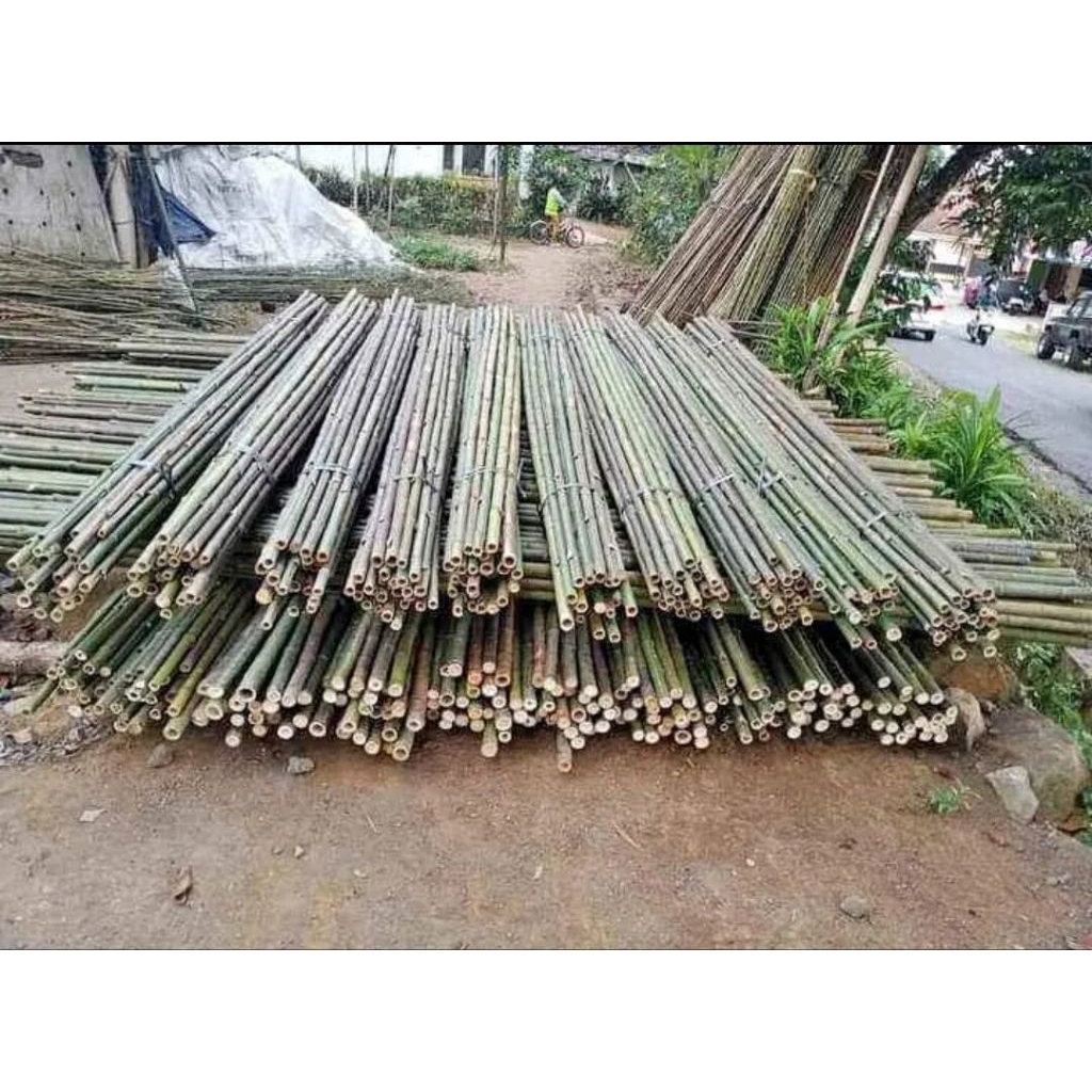 Jual Bambu Tiang Bendera Umbul Umbul Baleho Spanduk Tempat Jemur Antena ...