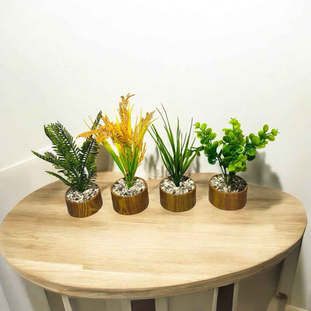 Jual paket 4pcs Dolar,pakis,pockay,padi artificial VAS KONES aesthetic ...