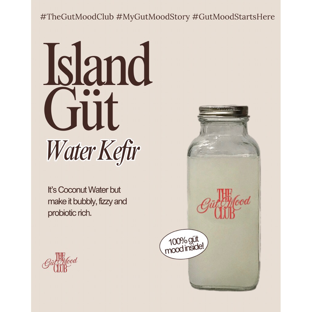 Jual The Gut Mood Club Island Gut Water Kefir - Air Kefir Island Gut ...
