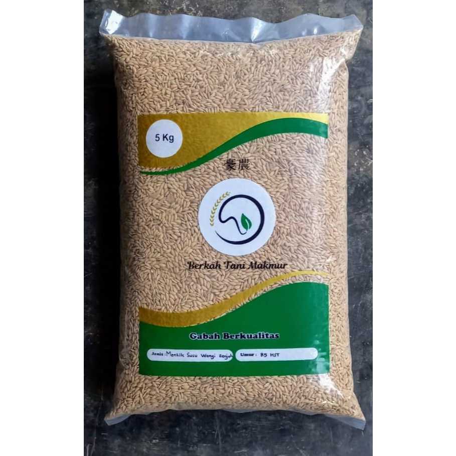 Jual Gabah Padi Mentik Wangi Genjah Ori 80 Hst 5kg Tani Makmur | Shopee ...