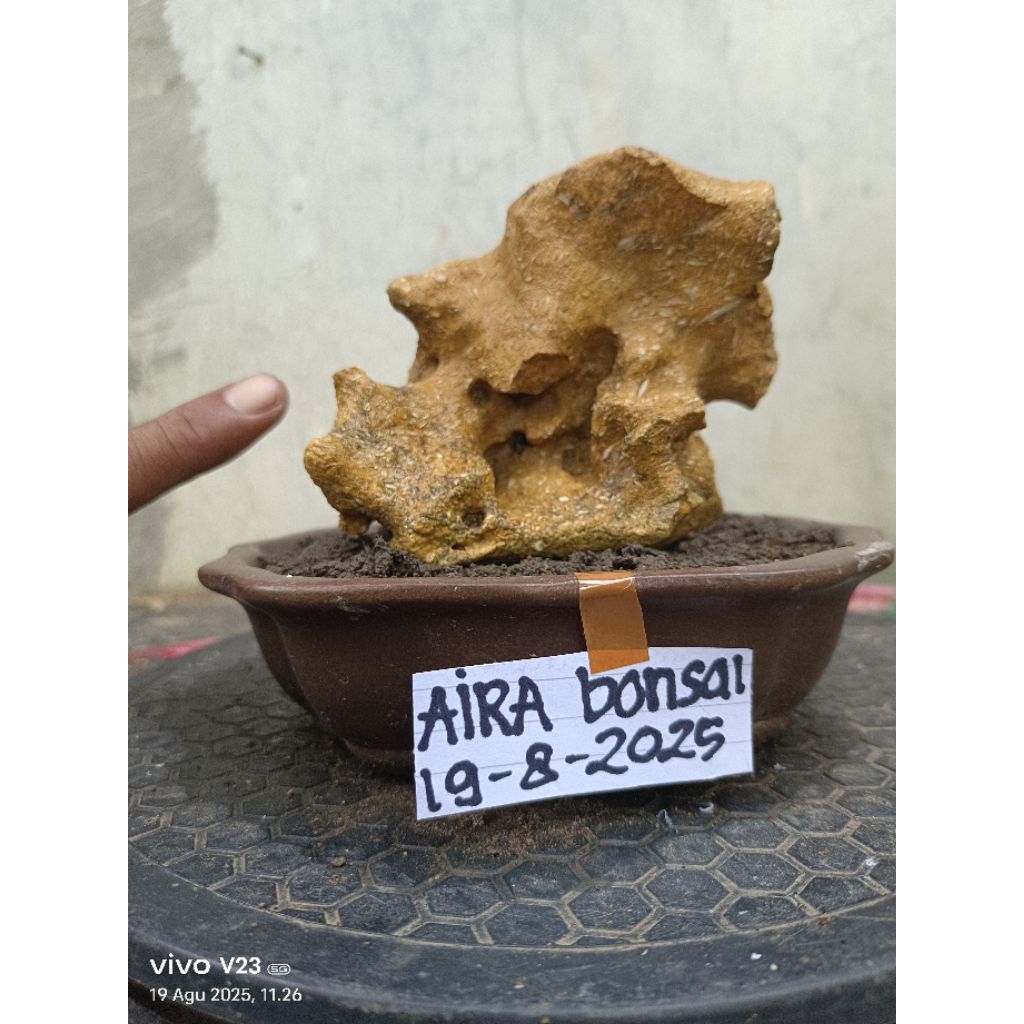 Jual batu gunung unik untuk bonsai | Shopee Indonesia