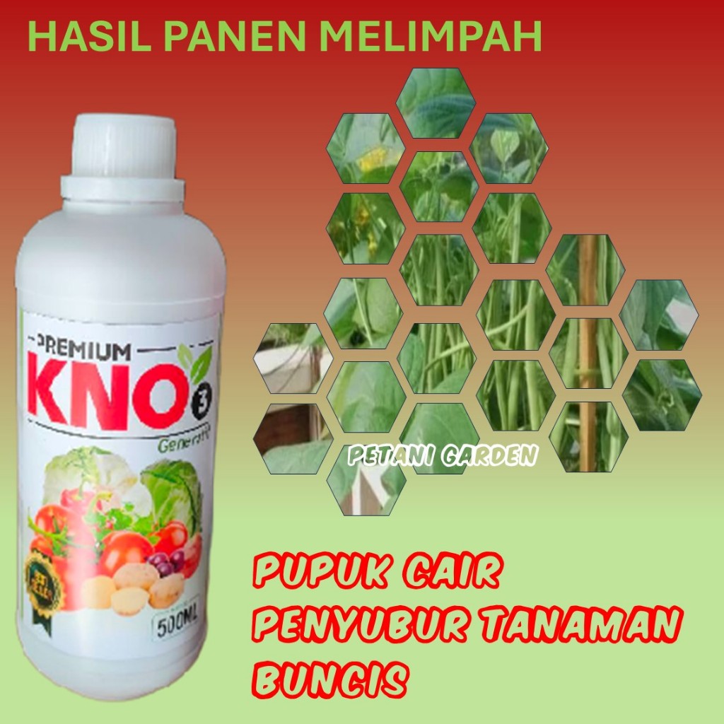 Jual Pupuk KNO3 Kalium Nitrat Cair Serbuk Penyubur Tanaman Buncis ...