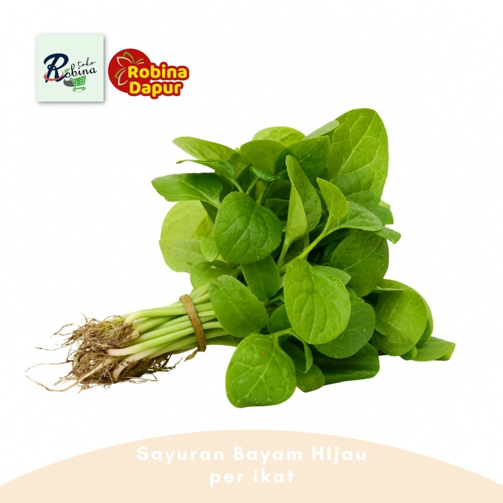 Jual Bayam Segar | Shopee Indonesia