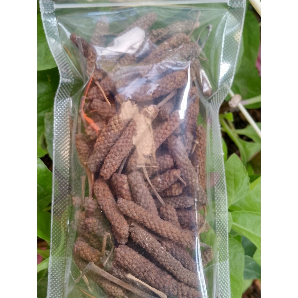 Jual Cabe Jawa - Cabai Jamu - Cabai Puyang - Cabai Kecil Panjang ...