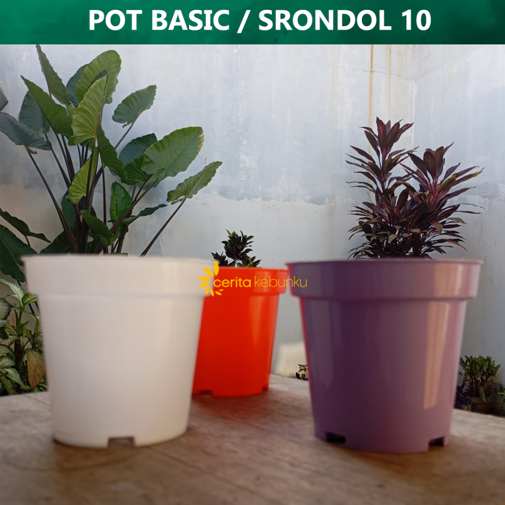 Jual [TANPA MINIMAL ORDER] Pot Basic Polos 10cm | Pot Bunga Srondol ...