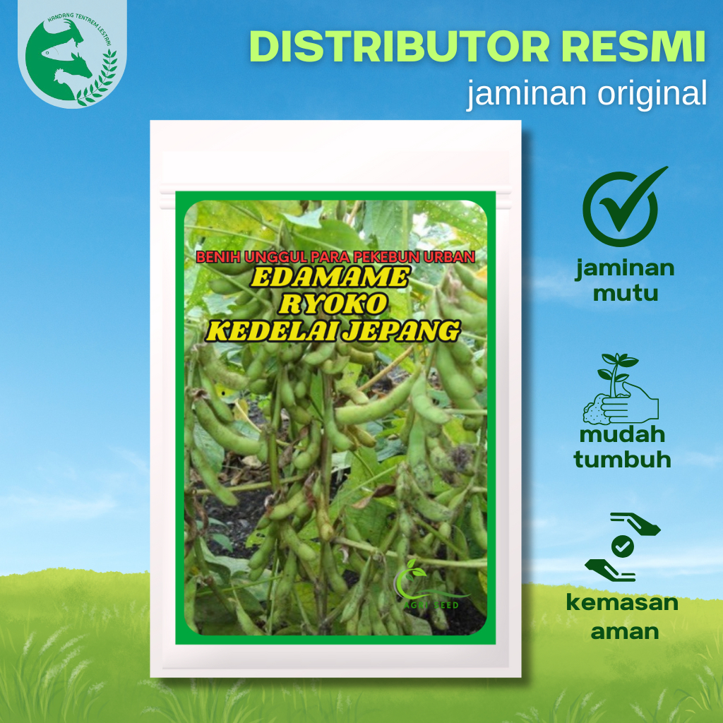 Jual 20 gram Benih Edamame Agri Seed Kedelai Jepang Jumbo Ryoko Buah ...