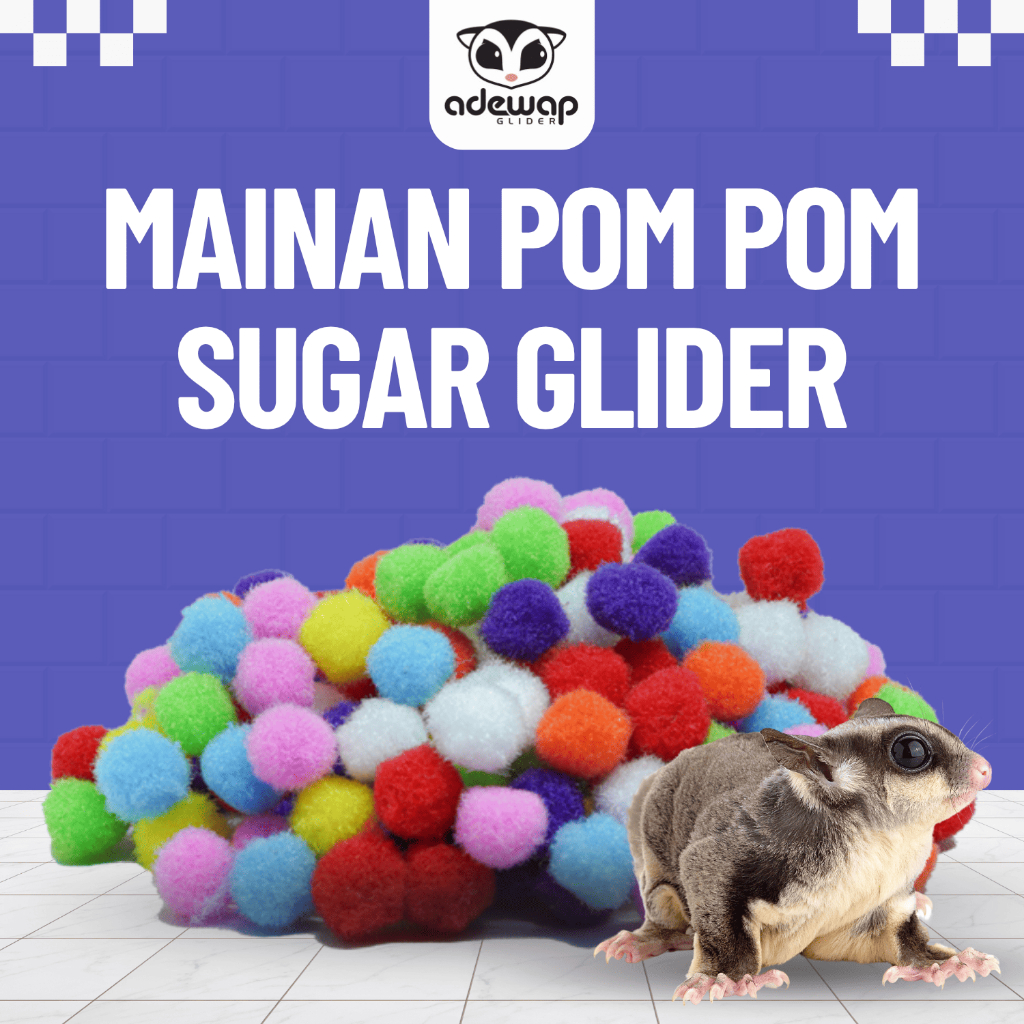 Jual ADEWAP GLIDER Pom Pom Mainan Sugar Glider | Shopee Indonesia