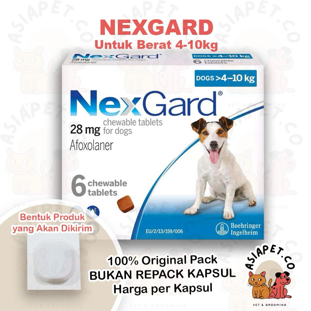 Jual NexGard dog chew blue M (4-10kg) obat kutu tungau demodex anjing per tablet ampuh | Shopee ...
