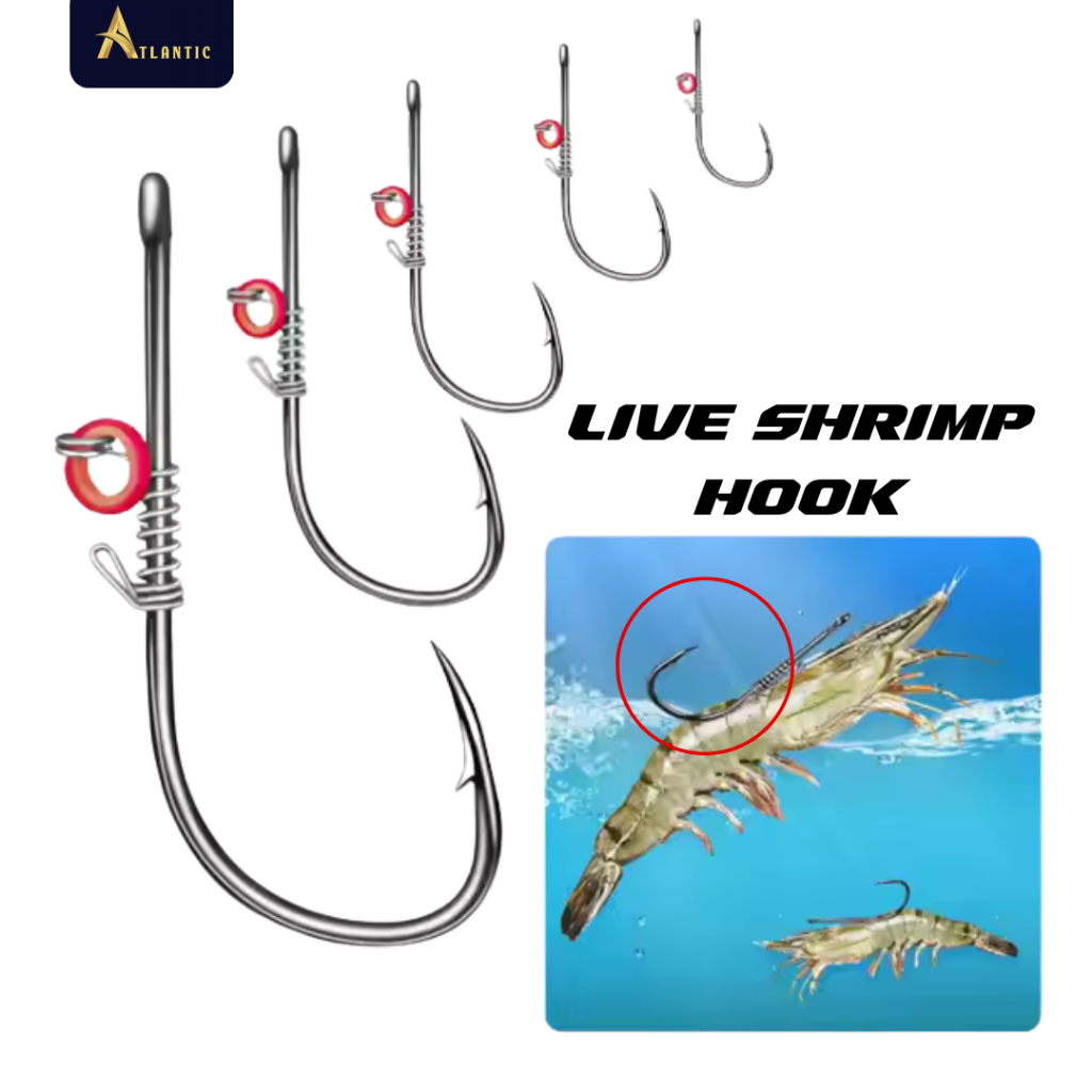 Jual Mata Kail Pancing umpan udang hidup untuk memancing Ikan di Laut ...