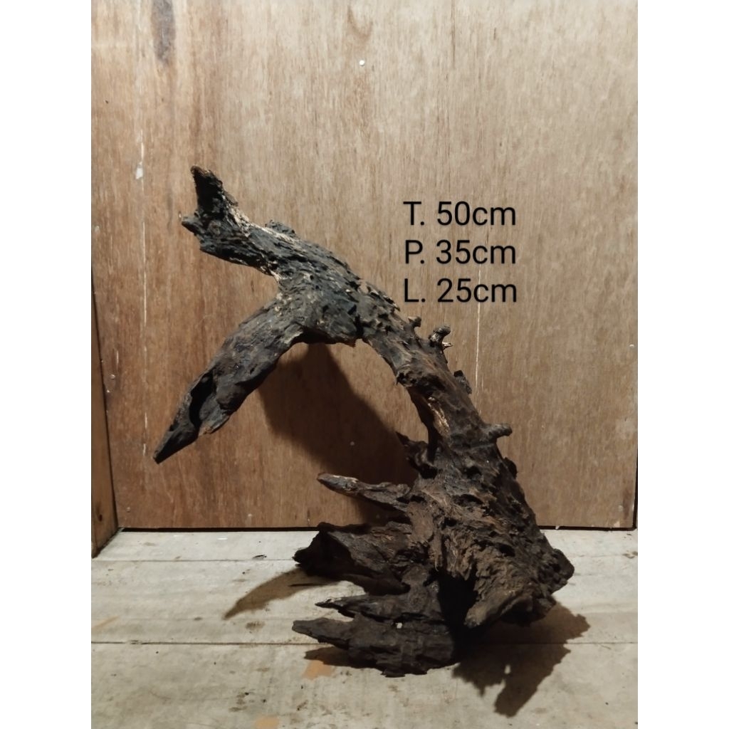 Jual rentek/posil kayu gunung tenggelam dekorasi aquarium | Shopee ...