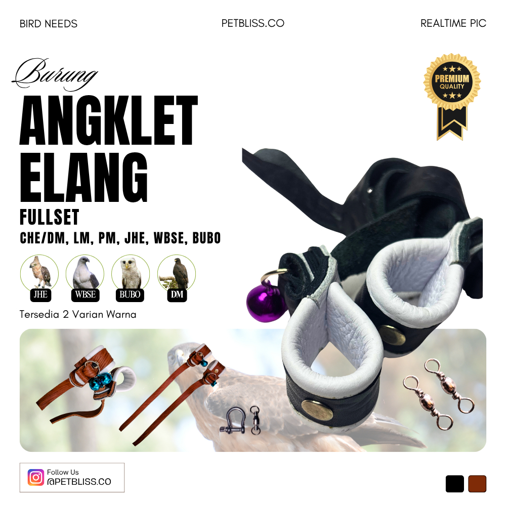 Jual Angklet Anklet Burung Hantu/Elang DM, CHE, JHE, BUBO, WBSE, IBE ...