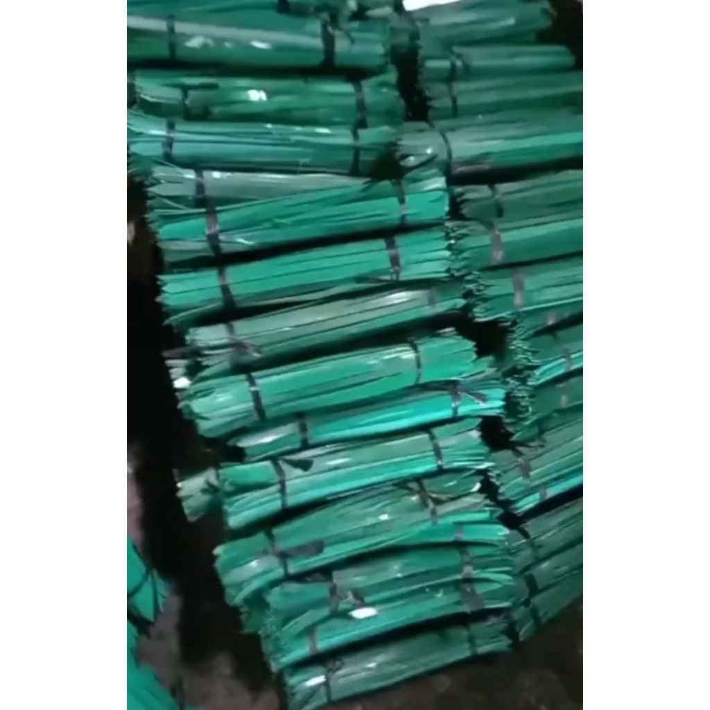 Jual Penjepit mulsa IND 30cm 1 ikat 100pcs / sujen / paku | Shopee ...