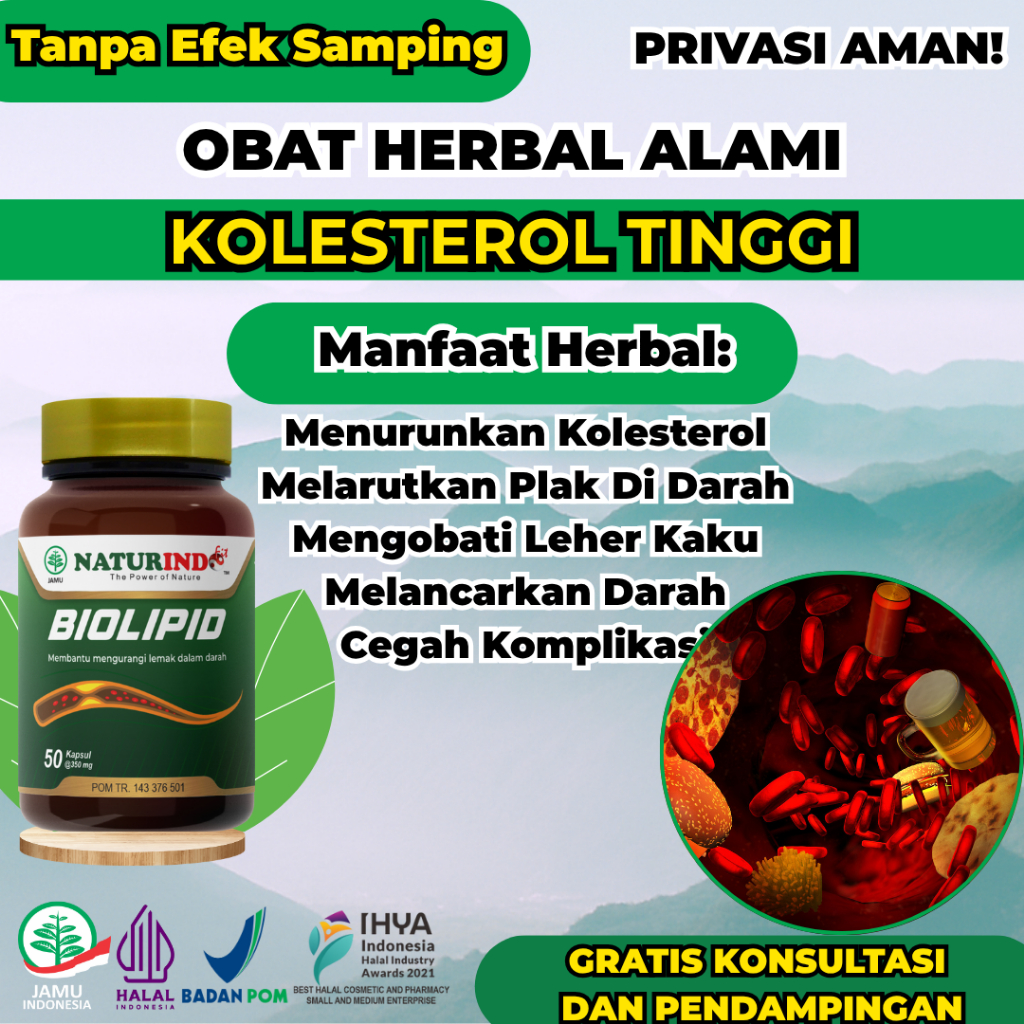 Jual Naturindo Biolipid Obat Kolesterol Lemak Darah Tinggi Penurun ...