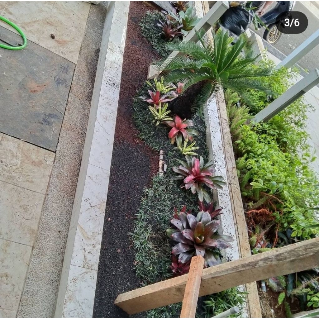 Jual pembuatan taman di cluster shinano jakarta garfen city | Shopee ...