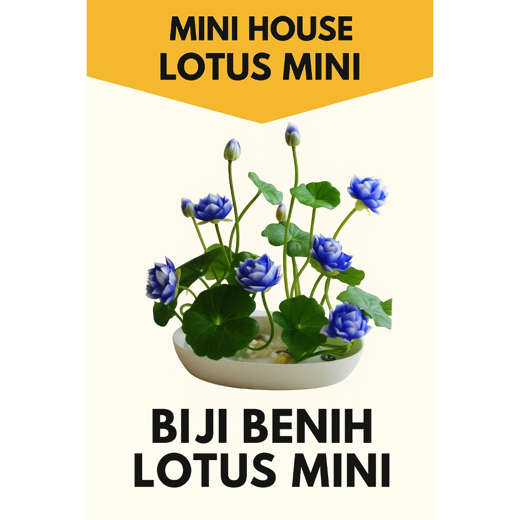 Jual Java Seeds - Biji Bunga Teratai Lotus Biji Bunga Lotus Mini 25 ...