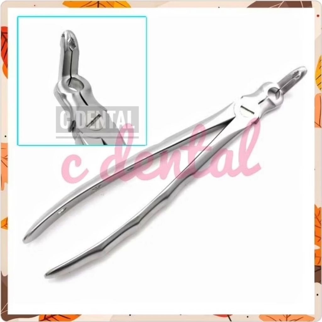 Jual Dental Wisdom Teeth Extraction Forcep Bayonet Long Slim Shank Tang ...