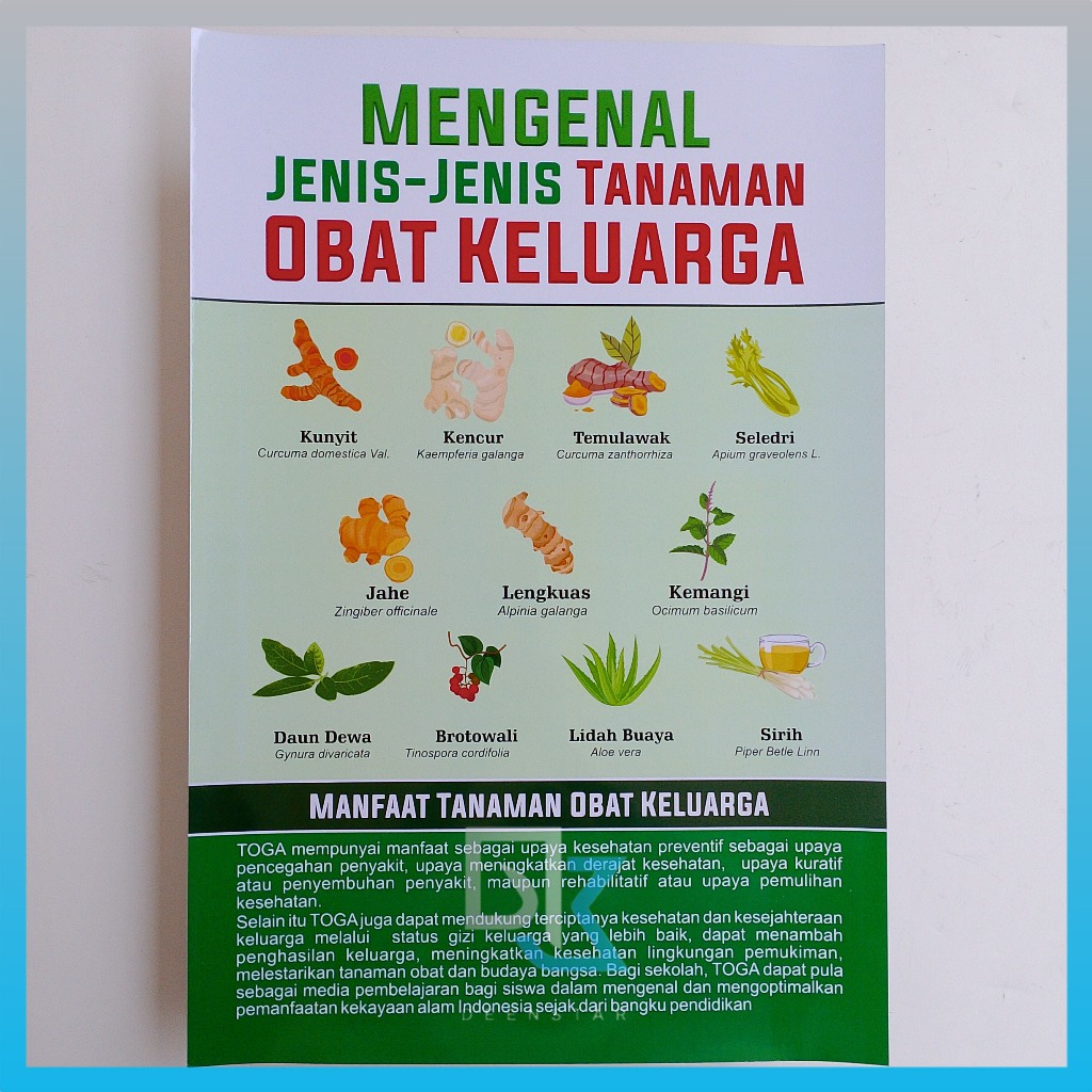 Jual Poster Mengenal Jenis Tanaman Obat Keluarga, Edukasi Jenis TOGA ...