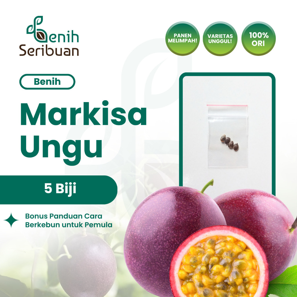 Jual Benih Seribuan - 5 Benih Buah Markisa Ungu | Shopee Indonesia