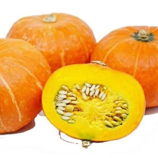 Jual BENIH/BIJI LABU KABOCHA KUNING (10 butir) | Shopee Indonesia