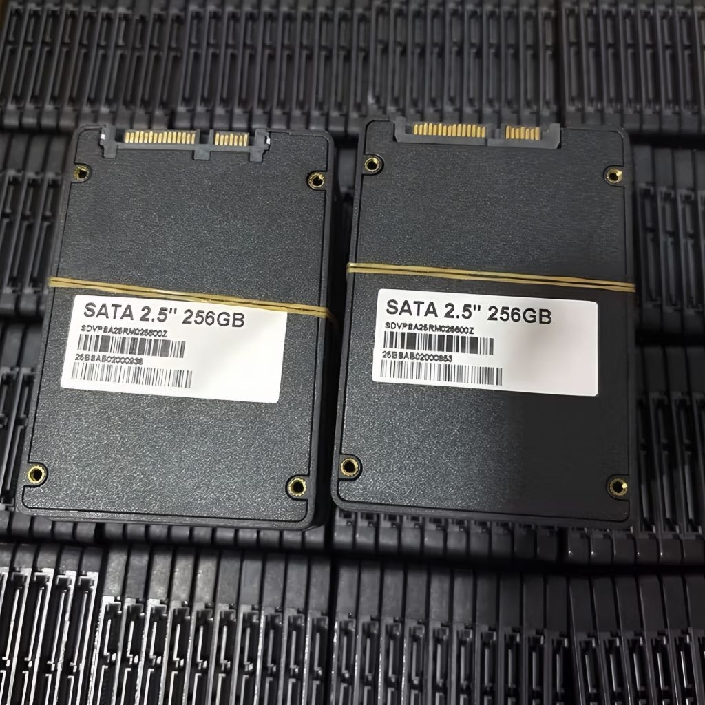 Jual SSD SATA 256GB SENTINEL 100% LIKE NEW MURAH BANGET | Shopee Indonesia