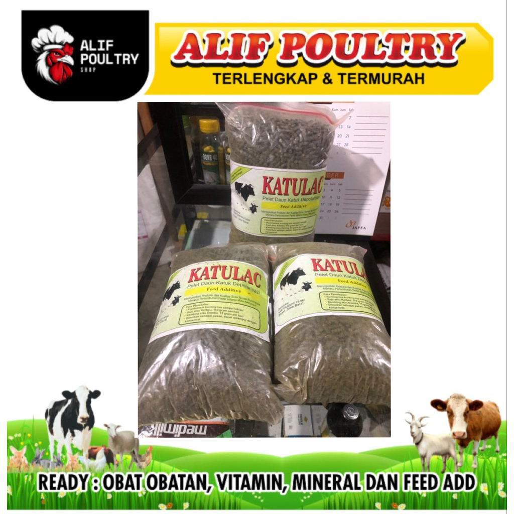 Jual KATULAC - pelet daun katuk dispolarisasi | Shopee Indonesia