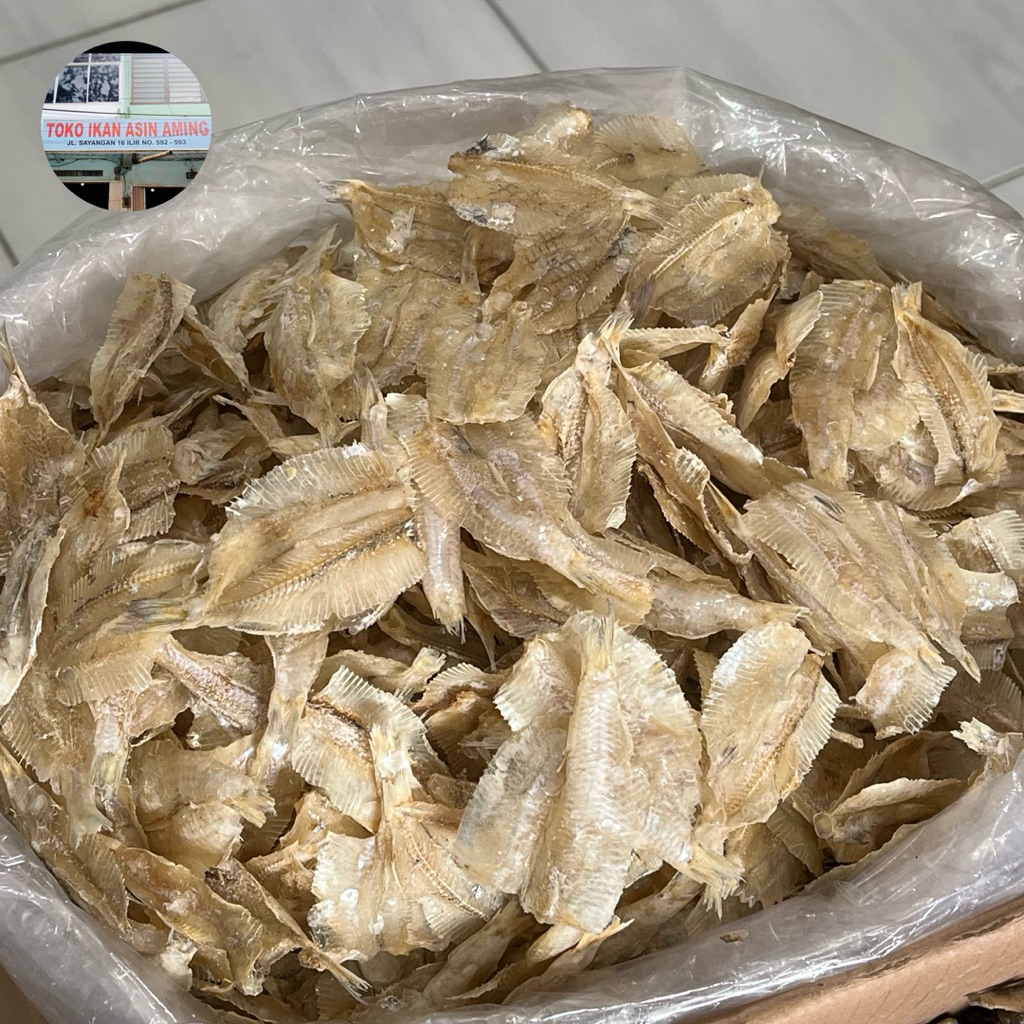 Jual Ikan Asin Pakang (Asin) | Shopee Indonesia