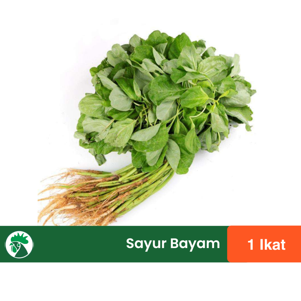 Jual Sayur Bayam dan Kangkung 1 Ikat | Sayuran Daun | Shopee Indonesia
