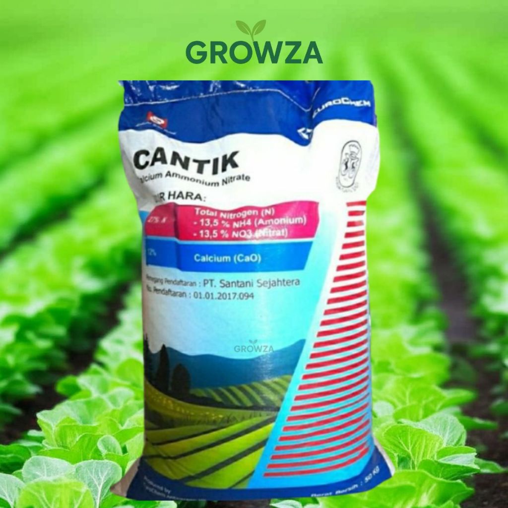 Jual [ORIGINAL] Pupuk CANTIK Calsium Ammonium Nitrat 50 kg | Shopee ...