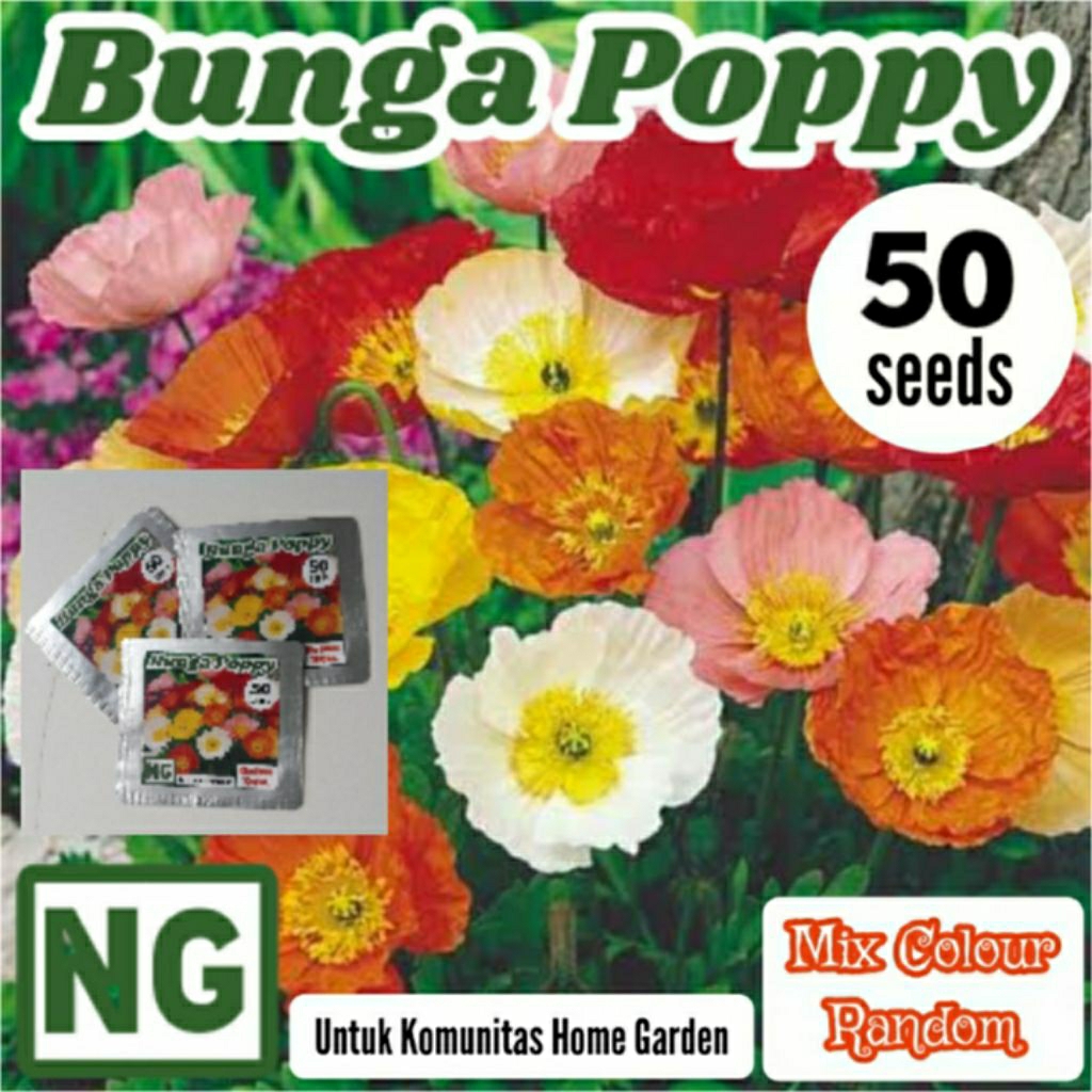 Jual 50 Benih Biji Bunga Poppy Mix Warna Random Kemasan Alumunium Foils ...