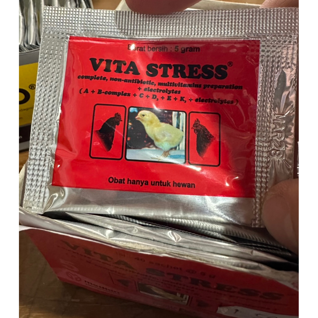 Jual VITA STRESS 5 Gram Sachetan - Multivitamin Anti Stress Penambah ...