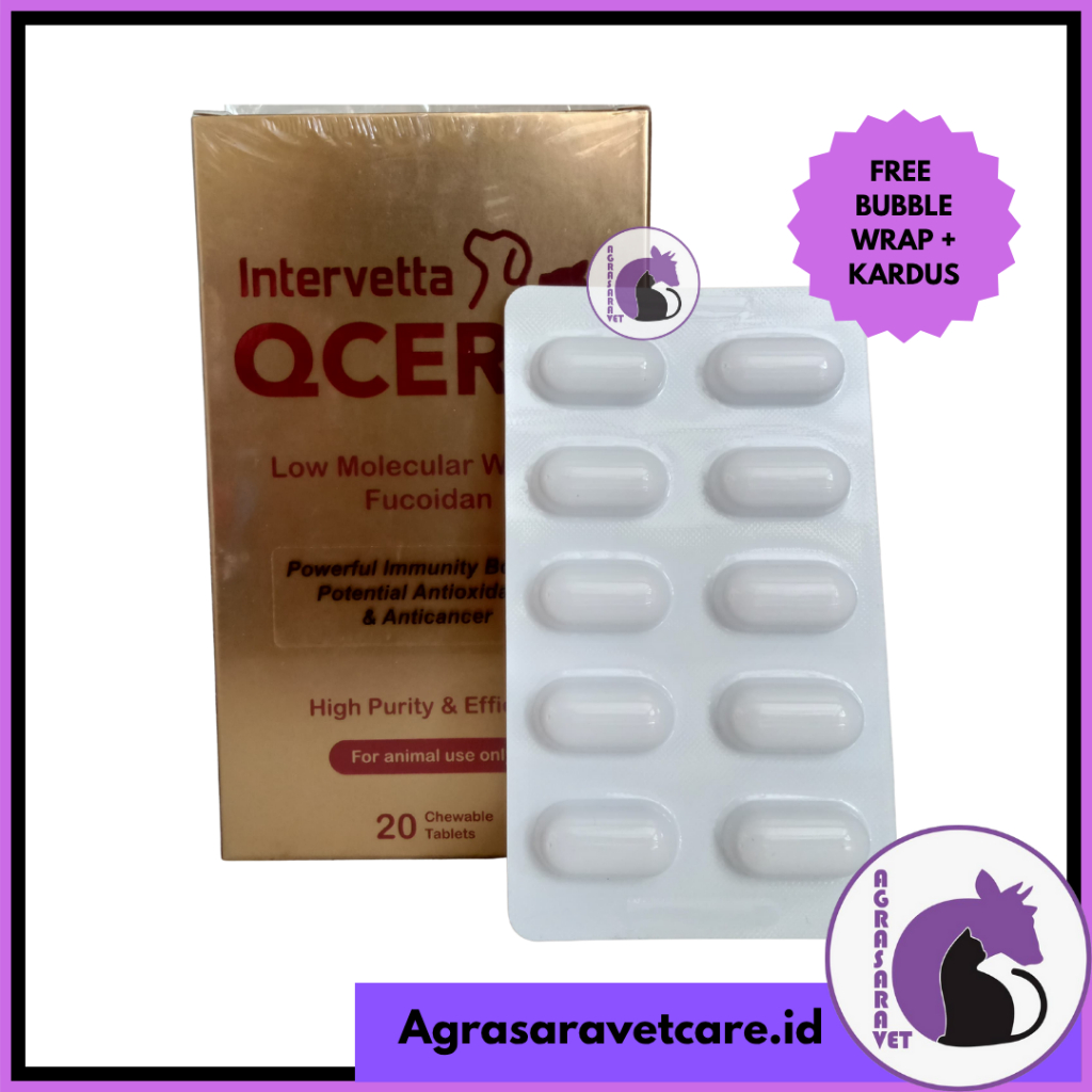 Jual Qcer Intervetta (HARGA 1 TABLET) - Obat Kanker / Tumor Kucing Anjing | Shopee Indonesia