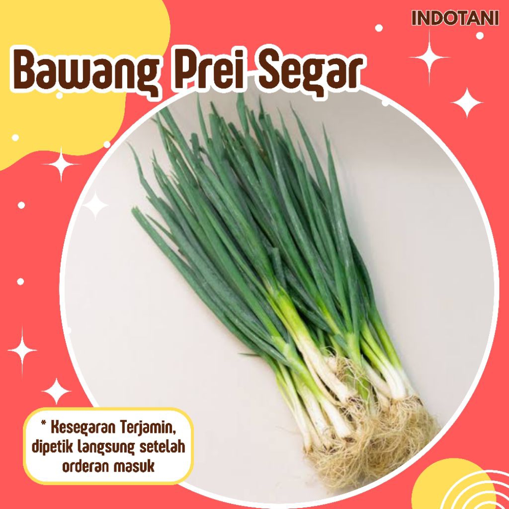 Jual INDOTANI_ Daun Bawang / Bawang Daun segar berkualitas / Daun ...