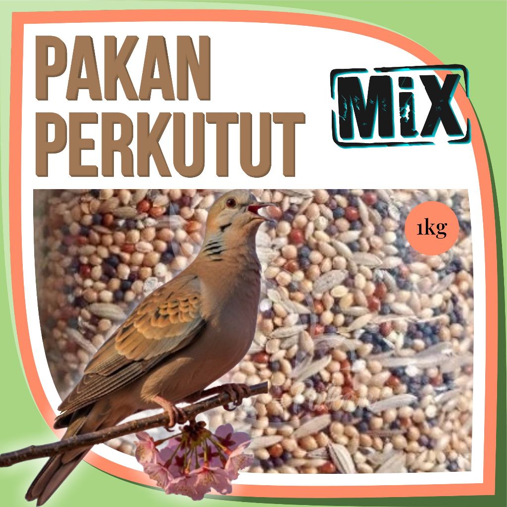 Jual Pakan Burung Perkutut 1Kg Supaya Gacor Kiloan Biji Sawi Gabah ...