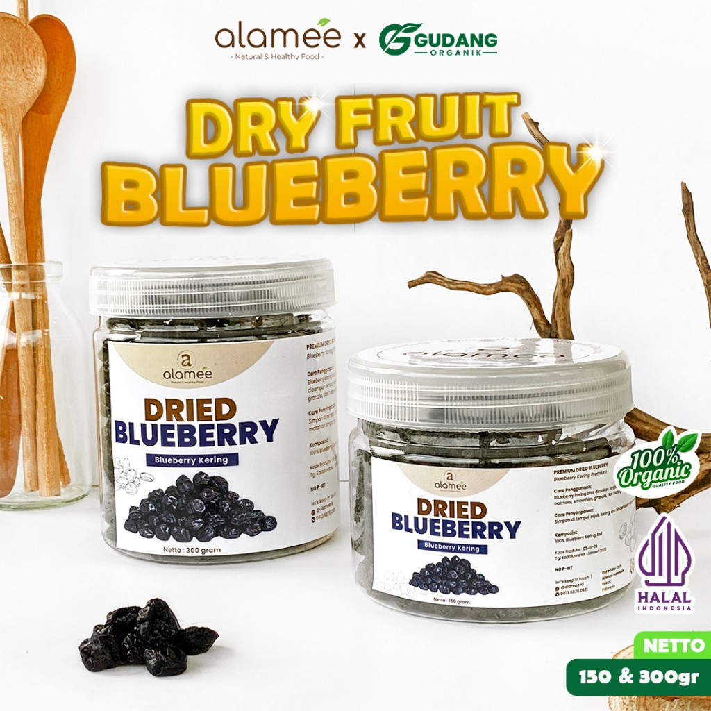 Jual ALAMEE Blueberry Kering Cemilan Buah Sehat Dried Fruit Blueberry ...
