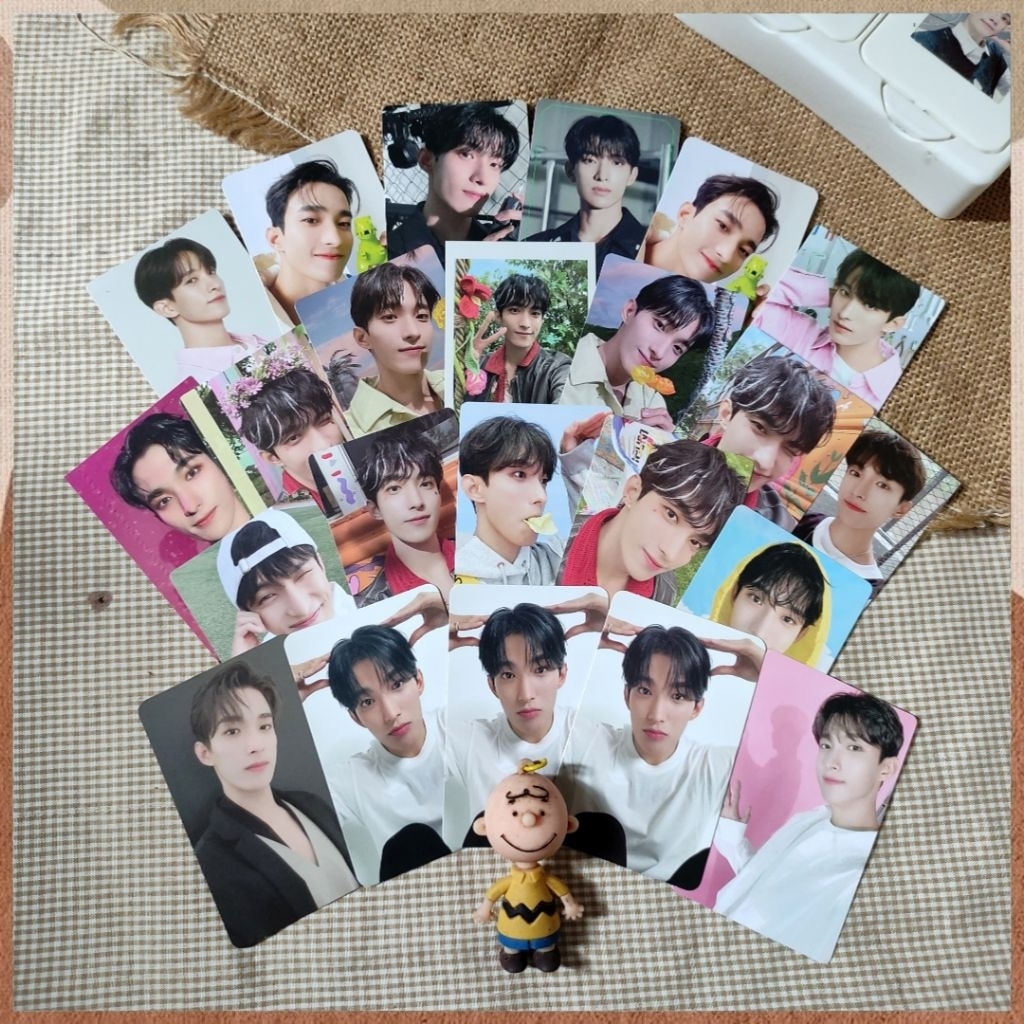 Jual [ READY ] SEVENTEEN - DK GAMEBOI PUPPY AN ODE HOPE CHIPS BEBEK BSS ...