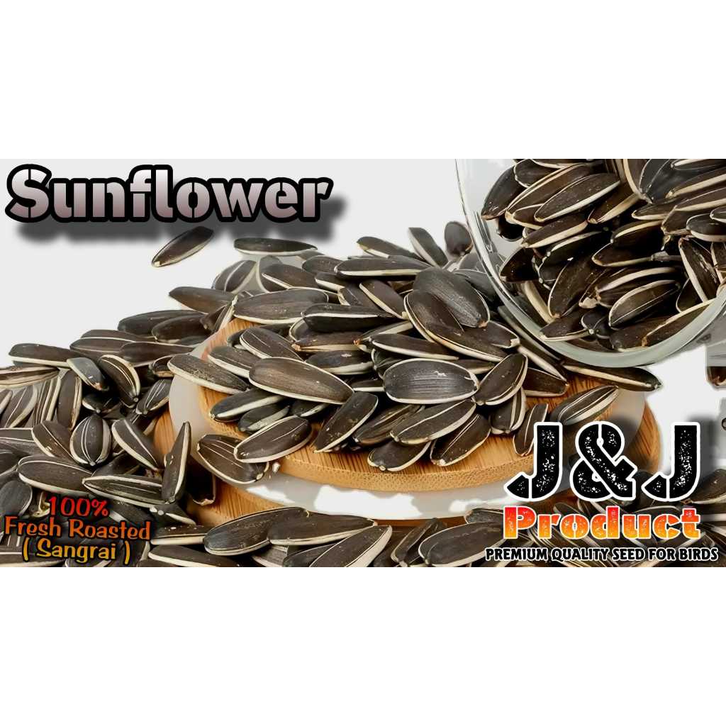 Jual Kuaci sunflower seed kwaci belang | Shopee Indonesia