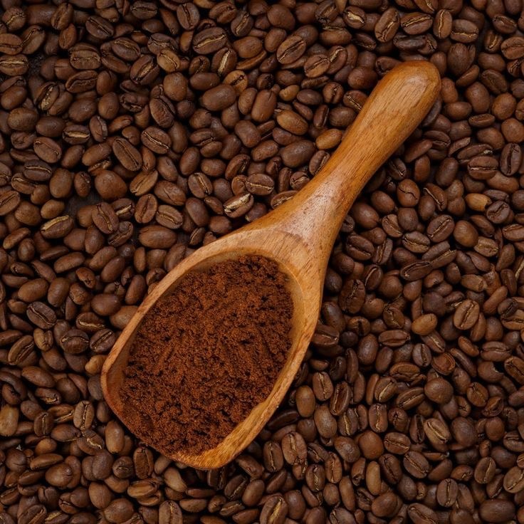 Jual Capbololimo Kopi Robusta, 100% Kopi Murni Asli Indonesia | Shopee ...