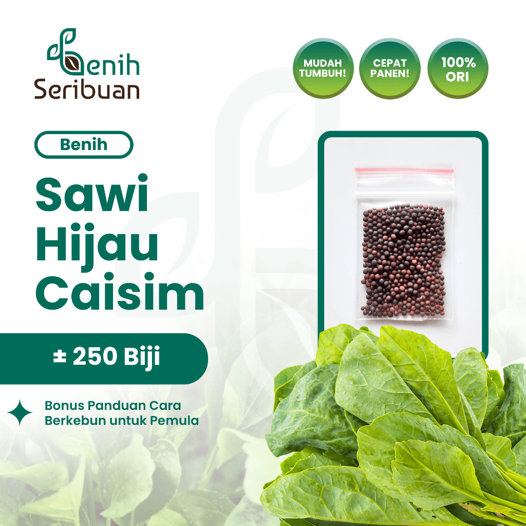 Jual Benih Seribuan - 300 Benih Sayuran Sawi Caisim Manis Unggul ...