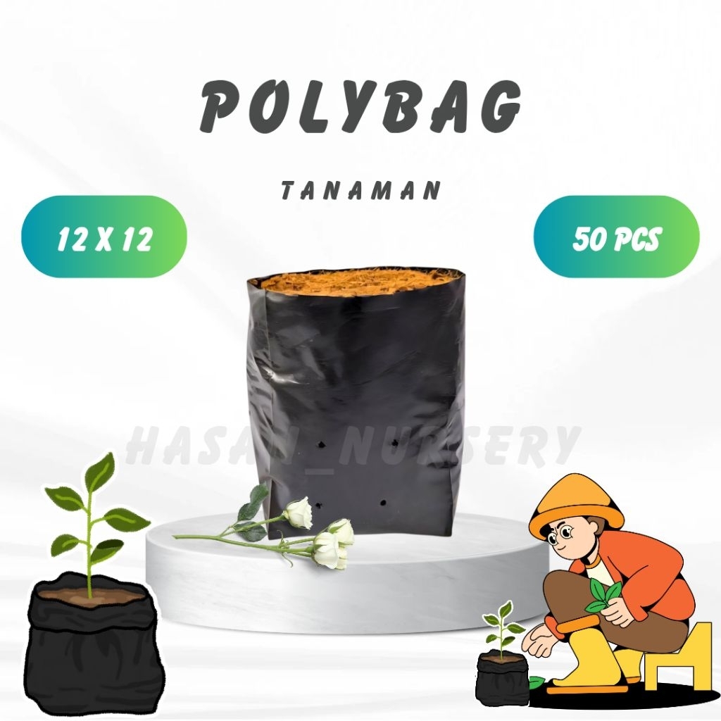 Jual Polybag Benih Tanaman Hias Tebal Kuat 12X12 Paket 50 Lembar ...