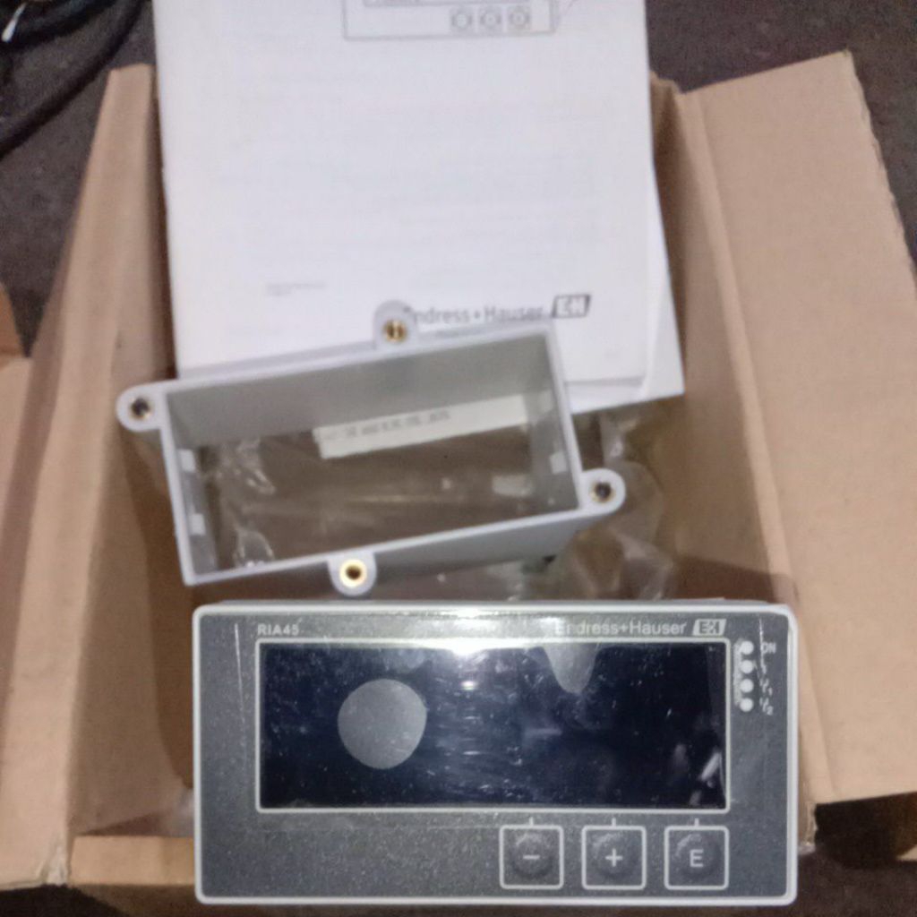 Jual Endress hauser RIA45 process meter panel meter | Shopee Indonesia
