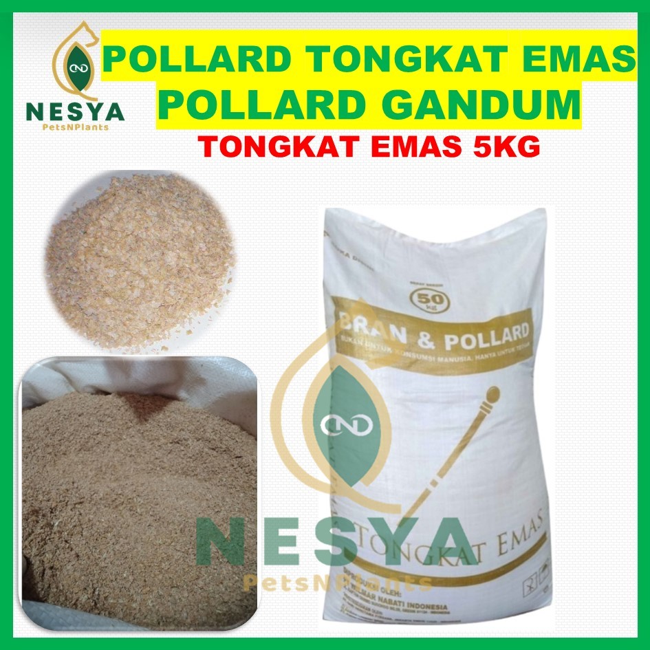 Jual Pollard 5 kg Tongkat Emas Kemasan 5kg Polar Pakan Sapi / Polar ...